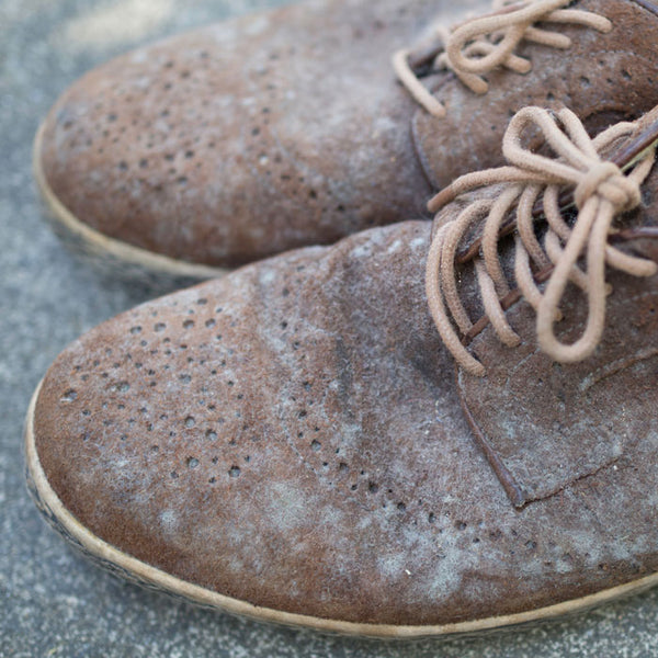 Preventing Mold/Bacteria – The Kingsland Shoe Project